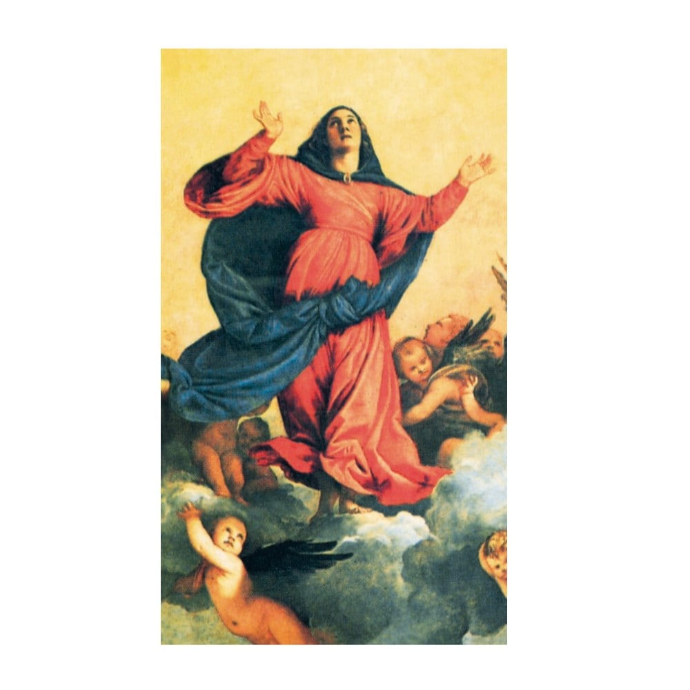 Confezione 100 immagini 7x12 Madonna Assunta - Pantaleone